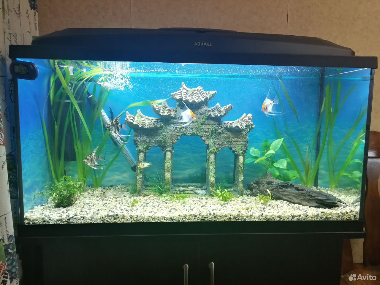 Продам отличный аквариум