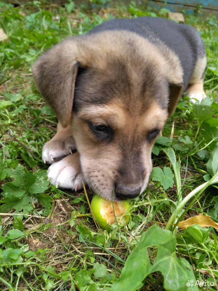 Хочу быть твоим другом