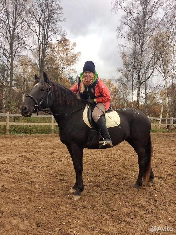 Продаётся кобыла