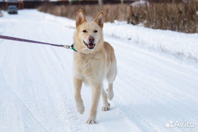 Милейшая веселушка Нюра