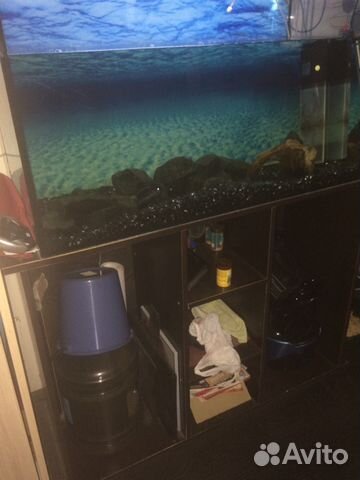Аквариум