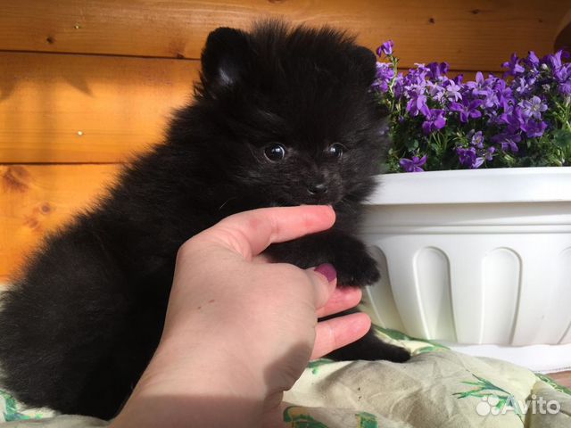 Готова к переезду в новый дом