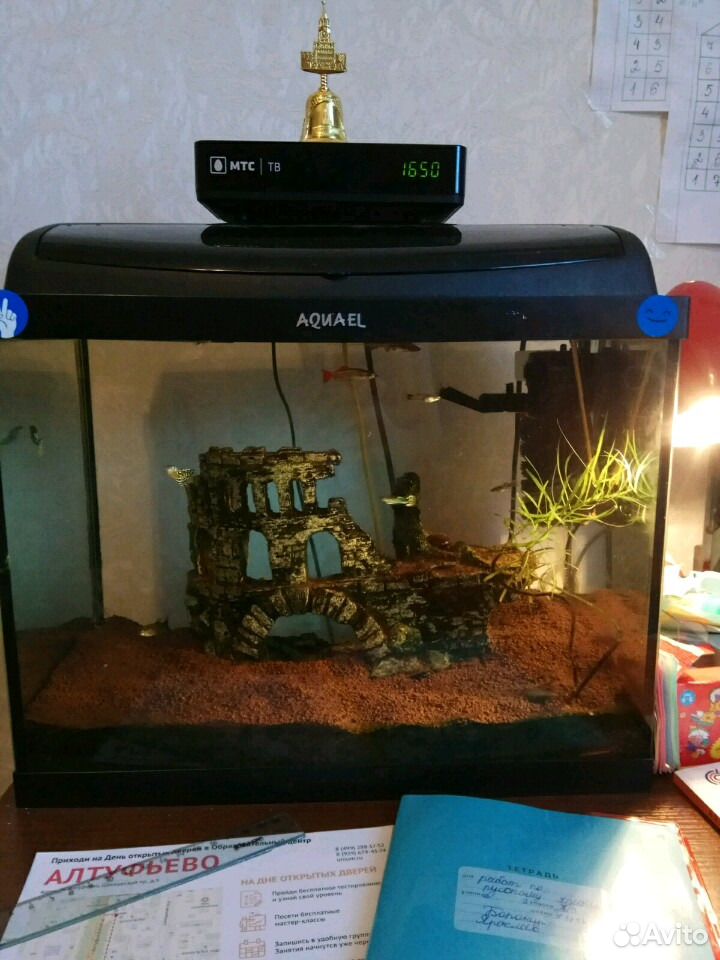 Аквариум