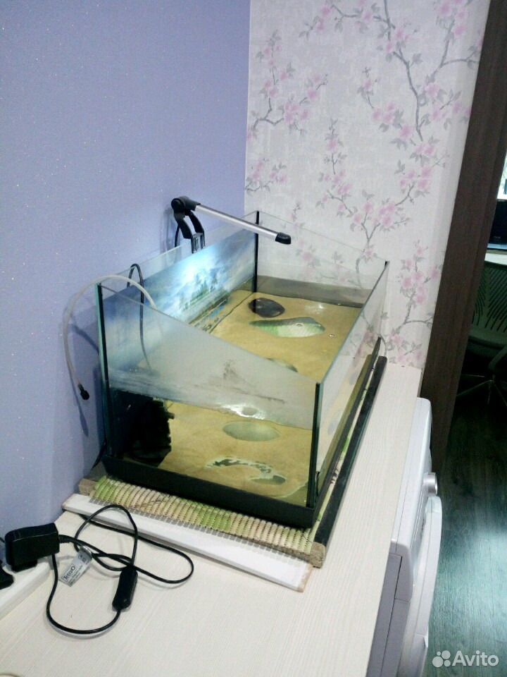 Аквариум терариум