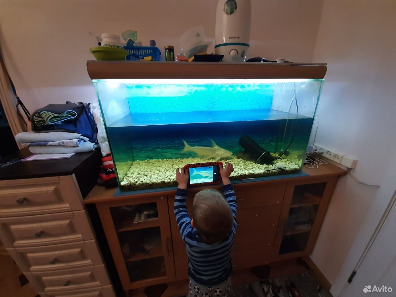Аквариум 200 литров с акулой