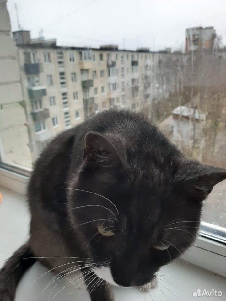 Ямайк