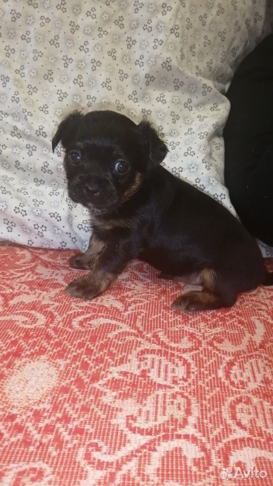 Милые-Чорки