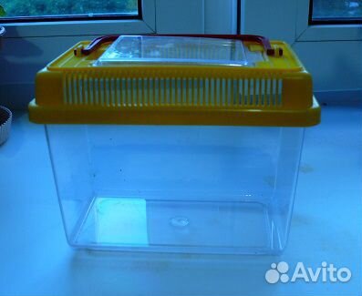 Переноска для рыбок 1л