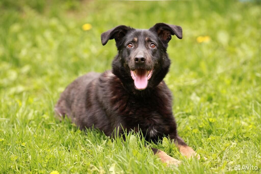 Гоша очень умный парень