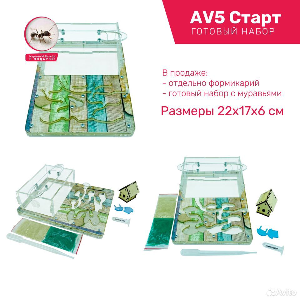 Муравьиная ферма «Цветное дерево»