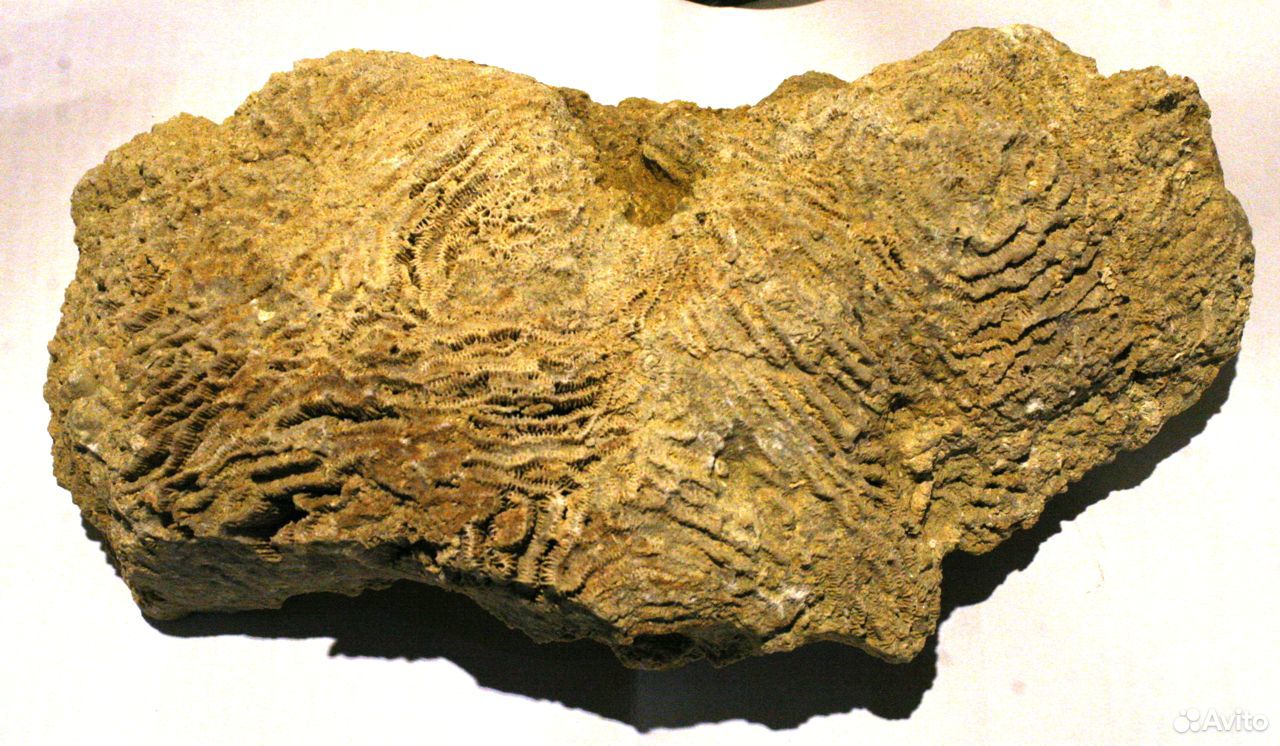 Камень для аквариума