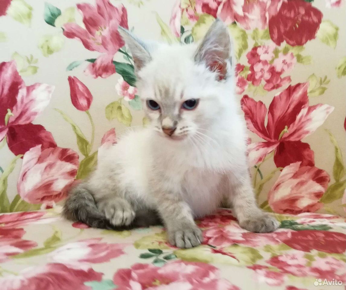 Малыш в добрые руки