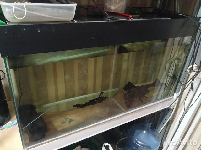 Аквариум 200 литров + фильтр
