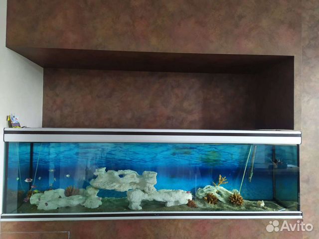Аквариум Aquatlantis ambiance