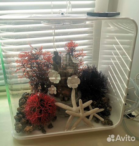 Акввриум Biorb Германия