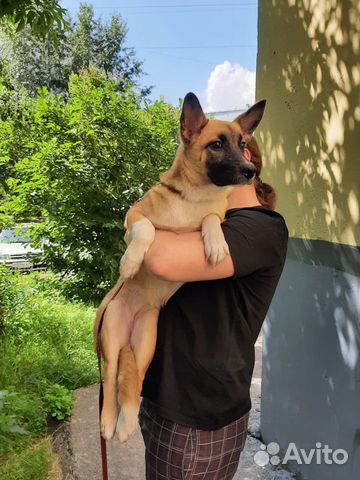 Ева ищет новую семью