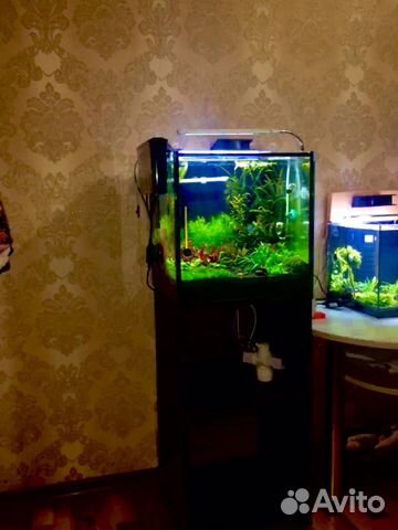 Готовый креветочник