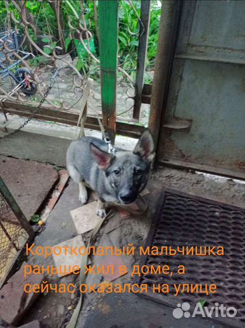 Жизненно нужен дом