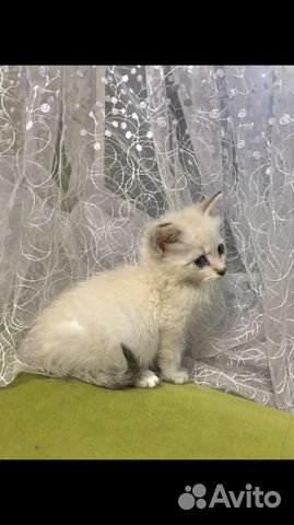 Малышка в добрые руки