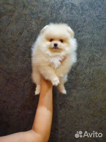 Очаровательный пупс