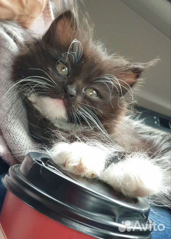 Малышку нашли в урне в стакане