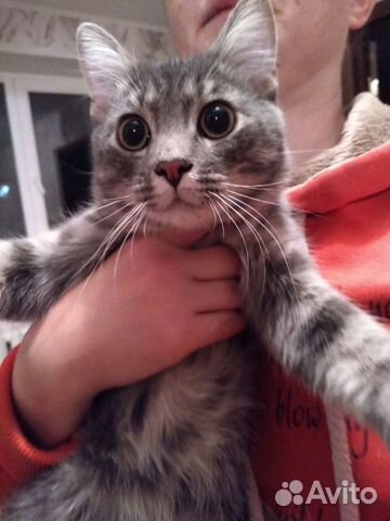 Шикарный пацан