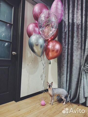 Канадский сфинкс вязка