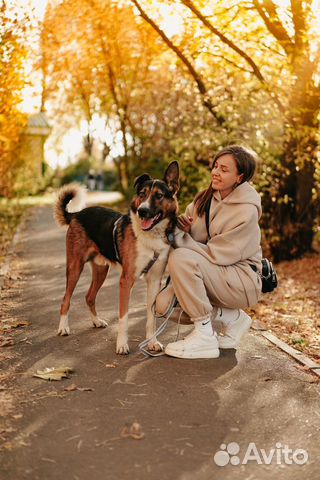 Большой, красивый и добрый Мартин