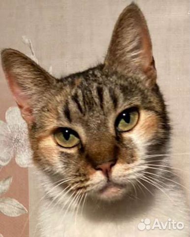 Меня выгнали из дома