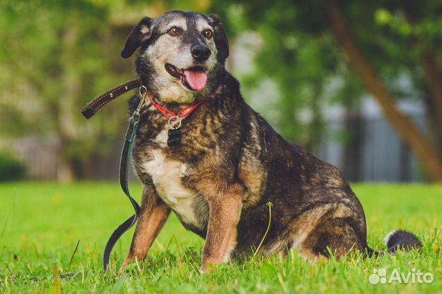 Самая милая на свете Масяня