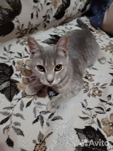 Найдена красотулечка девочка