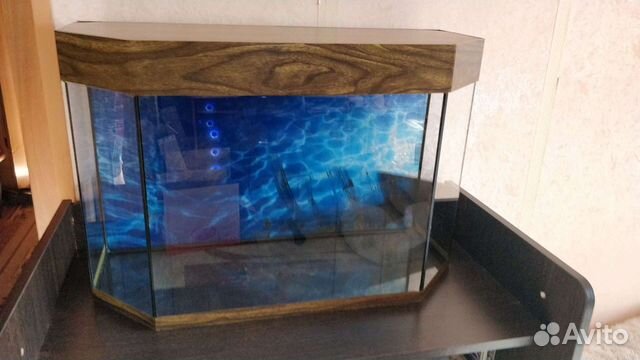 Аквариум
