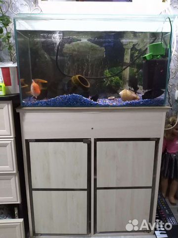 Аквариум