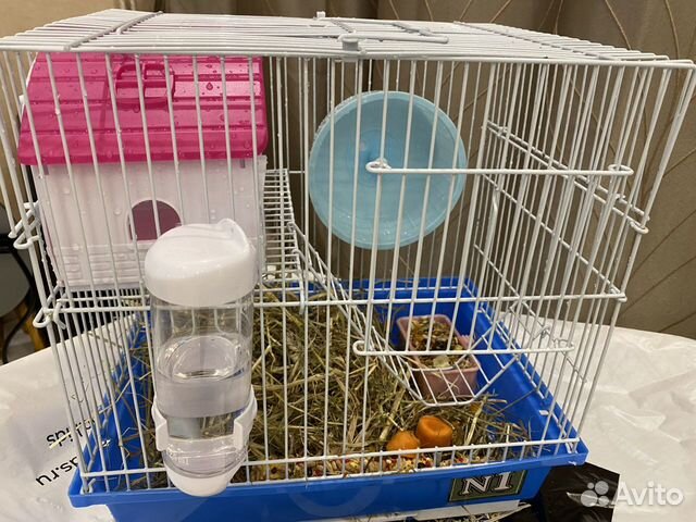 Продам клетку с хомяком джунгариком