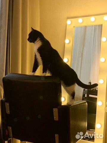 Бусинка ищет дом