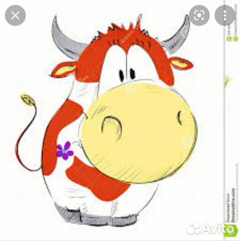 Корова дойная