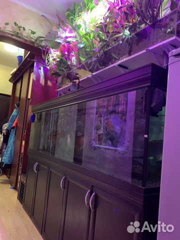 Аквариум 750 литров с фитофильтром