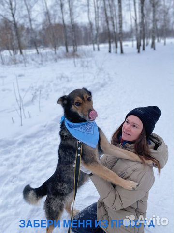 Собака Ева ищет дом