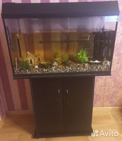 Аквариум (126 л) с тумбой