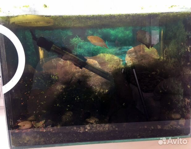 Аквариум 40 л, компрессор и нагреватель Tetra