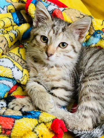 Грушеньке, 3 месяца