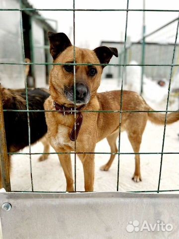 Заберите меня домой