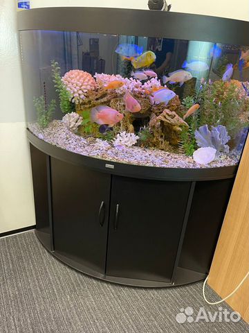 Аквариум с тумбой и рыбками