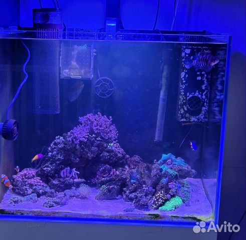 Оборудование для морского аквариума