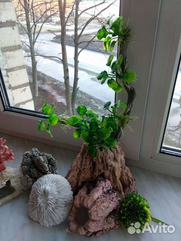 Декор для аквариума, 8 шт