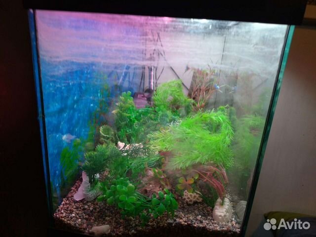 Украшение для аквариума аквариум