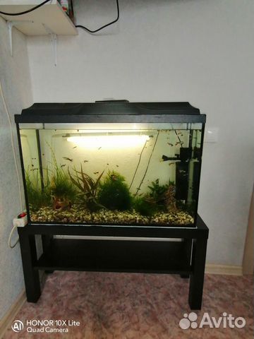 Аквариум