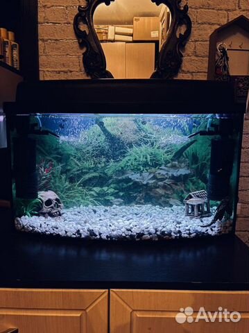 Аквариум 100л + рыбки