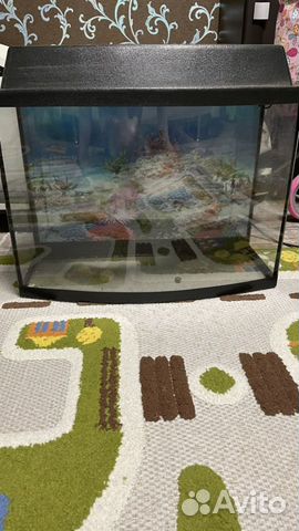 Аквариум