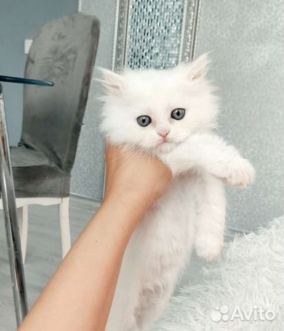 Белое облако